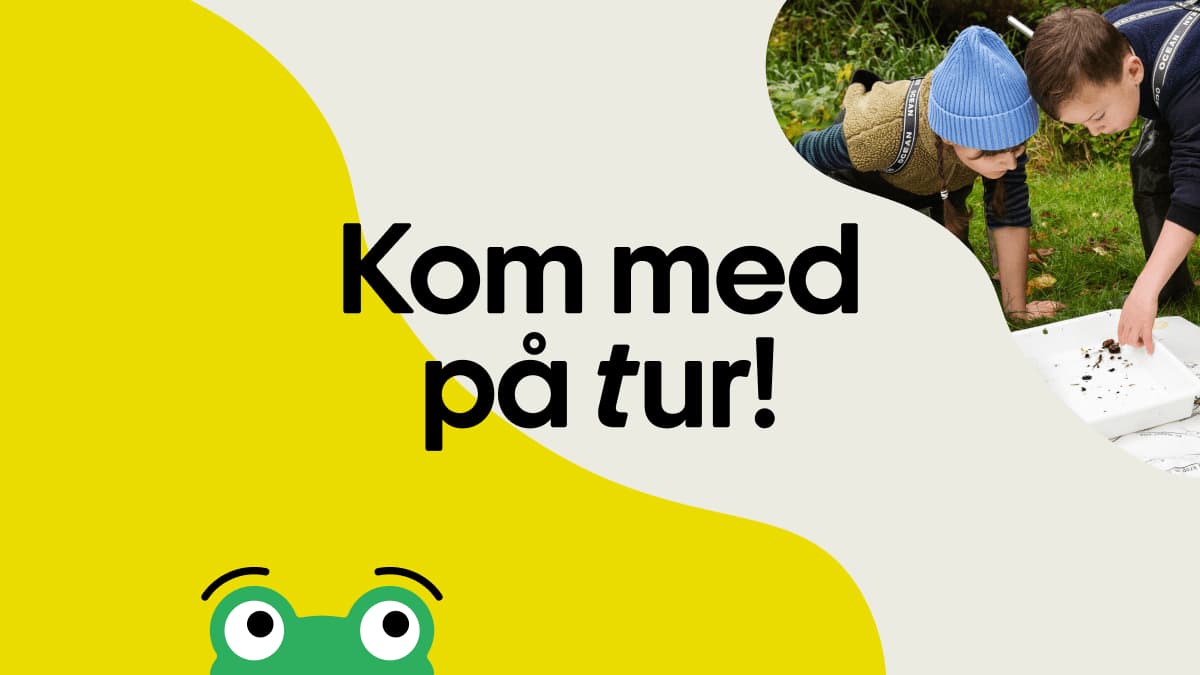 Gode oplevelser venter i det fri - Tid Til Tur